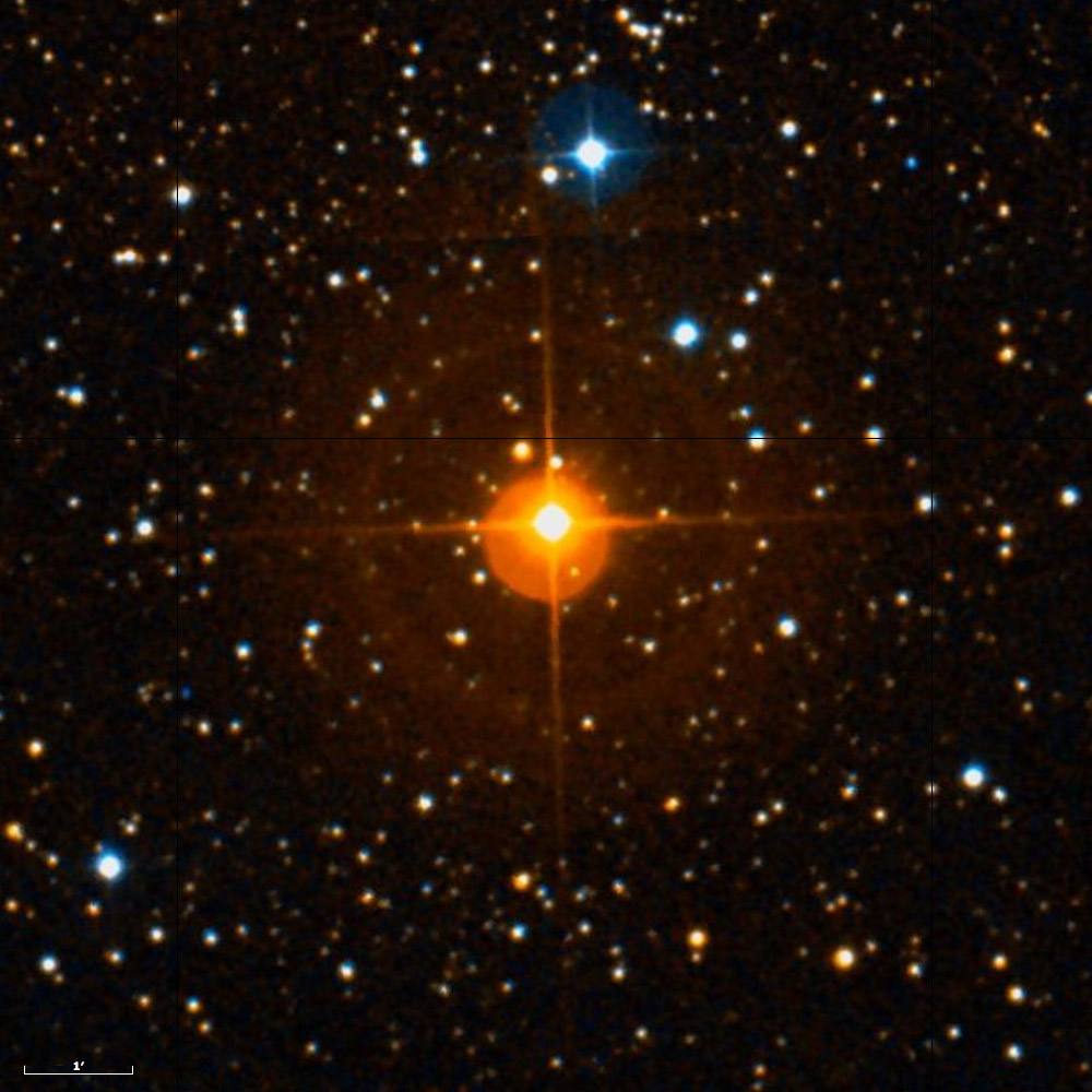 Little Red Carbon Hood (The Bloated Edition) – ASTROPEEPS.COM