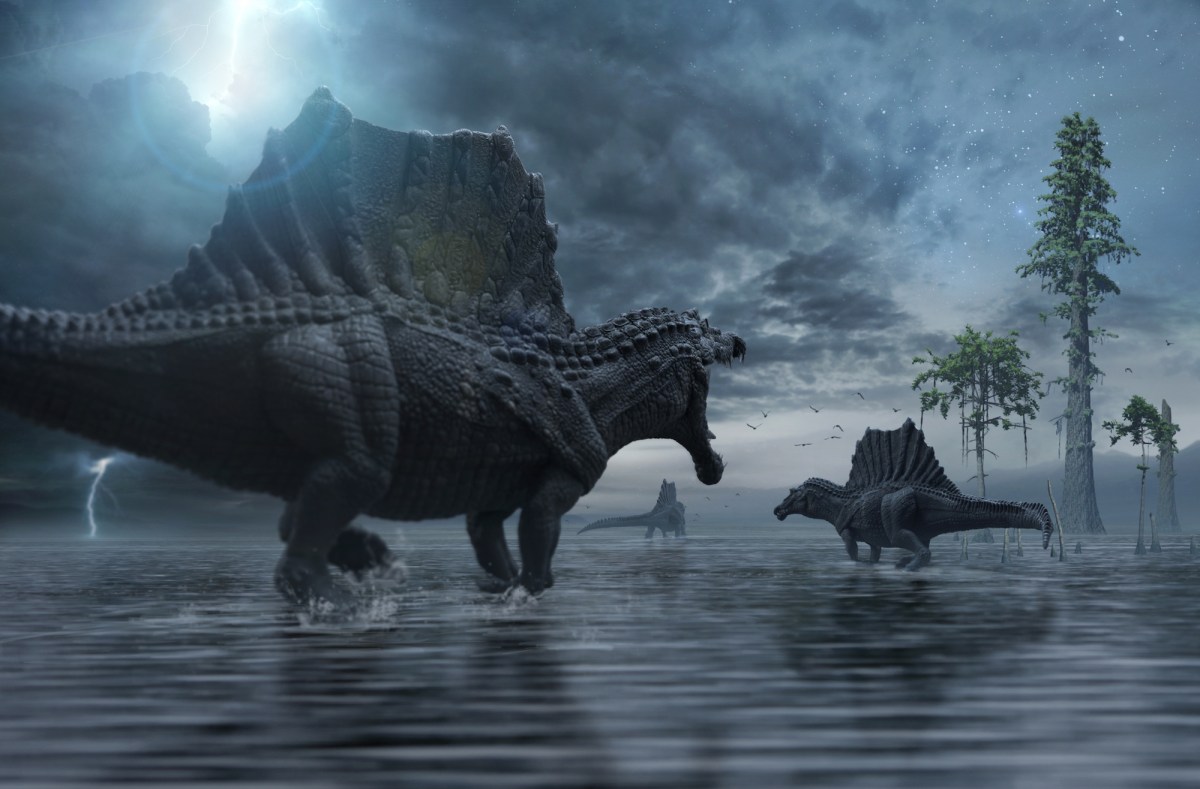 Two Million Years of Rain – The Carnian Pluvial Episode – ASTROPEEPS.COM