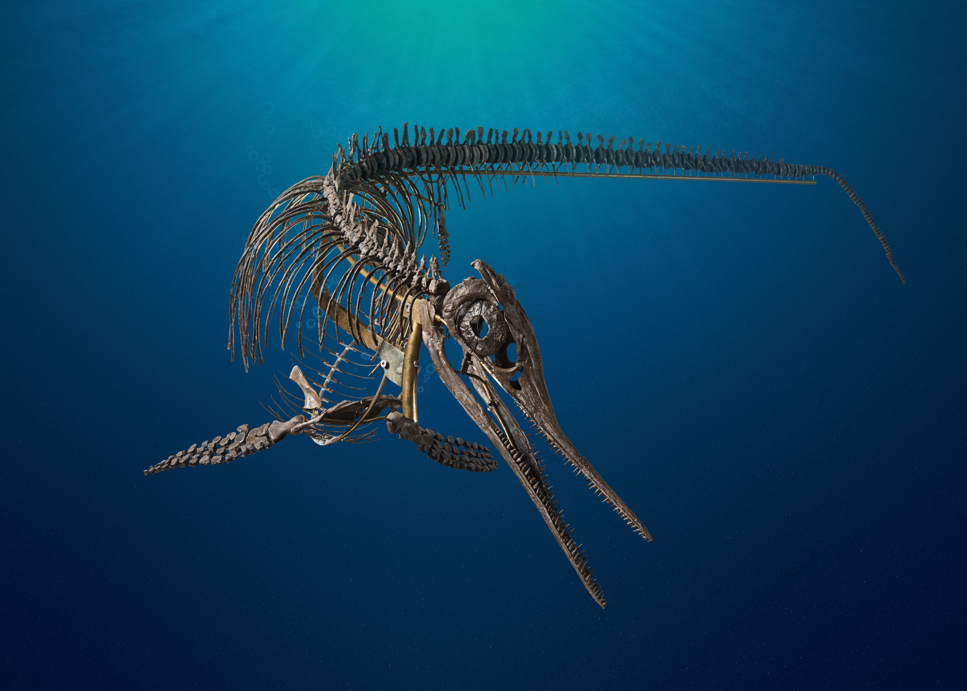 A World of Disasters Towards the Reign of Dinosaurs: The Triassic ...